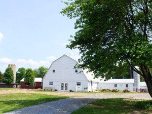 Explore Our Delights Farm Gallery At - Braehead Farm : Braehead Farm