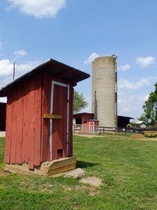 Explore Our Delights Farm Gallery At - Braehead Farm : Braehead Farm