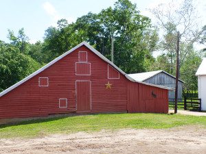 Explore Our Delights Farm Gallery At - Braehead Farm : Braehead Farm