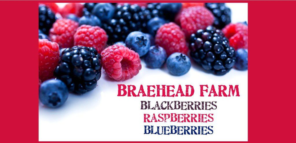 Events - Braehead Farm