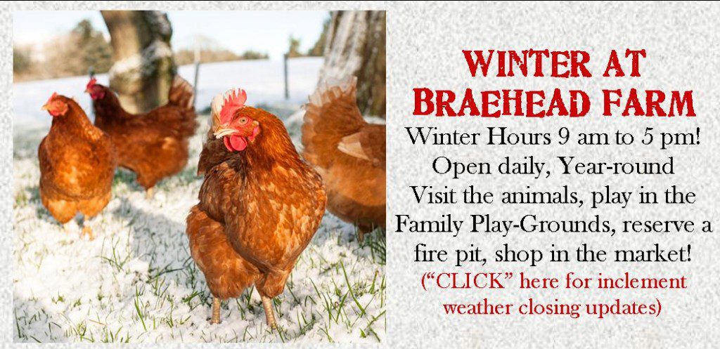 Events - Braehead Farm : Braehead Farm