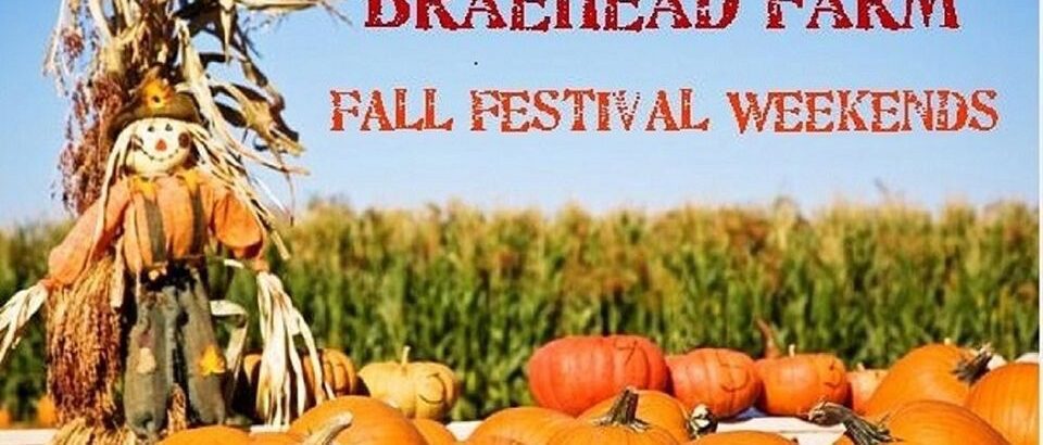 Braehead Farm - Farm • Market • Events