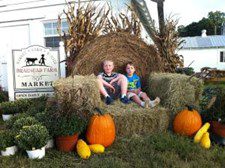 Fall fun at Braehead Farm - Braehead Farm