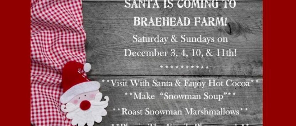 Braehead Farm - Farm • Market • Events