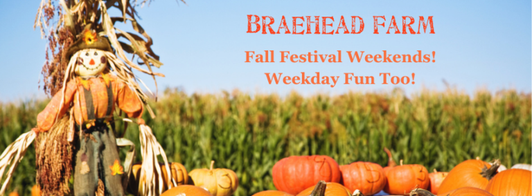 Farm Fun - Braehead Farm : Braehead Farm