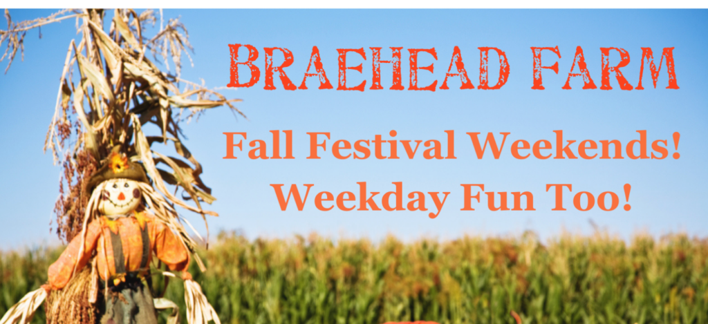 Fall Farm Fun! - Braehead Farm : Braehead Farm