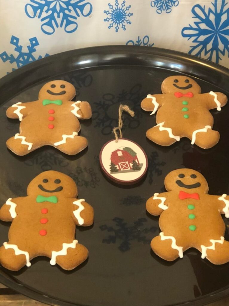 Winter at Braehead - Braehead Farm