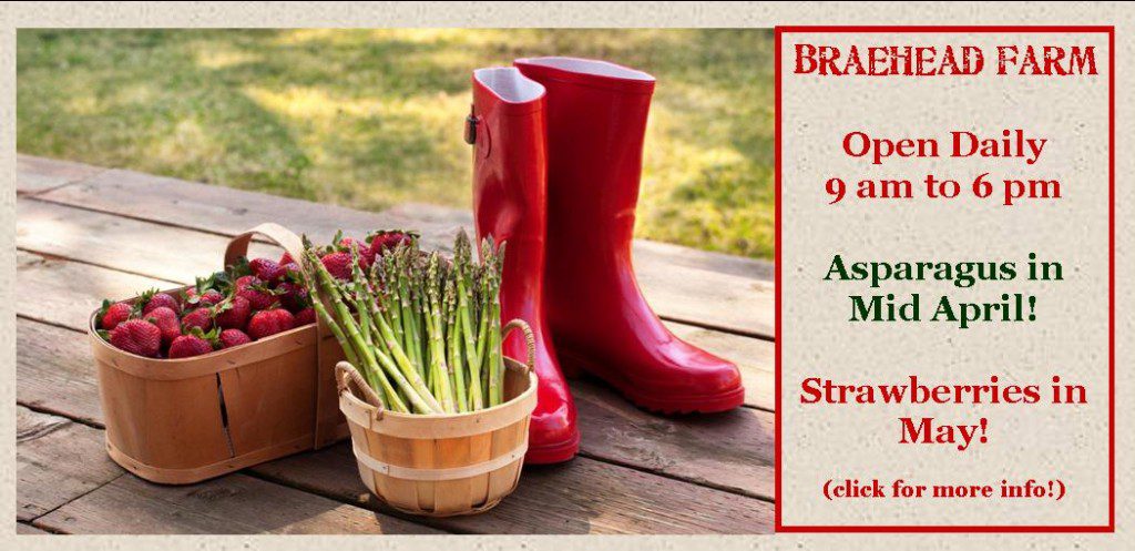 Events - Braehead Farm : Braehead Farm